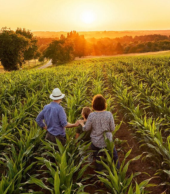 About Us | Palamoor Seeds